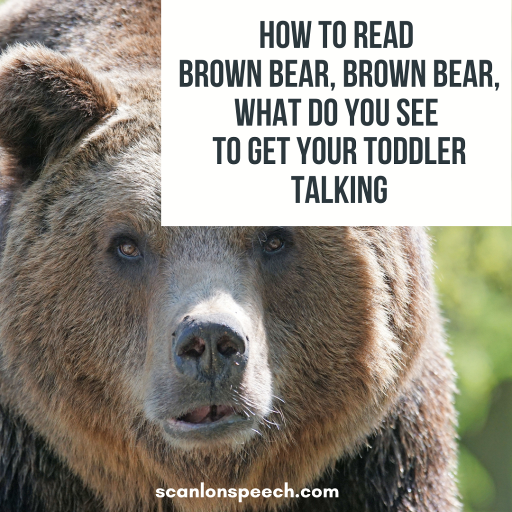 Brown Bear Brown Bear and Speech - Scanlon Speech Therapy